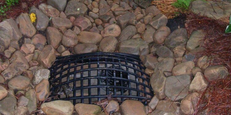 3 Tips to Avoid Common Drain Problems at Home - House Integrals