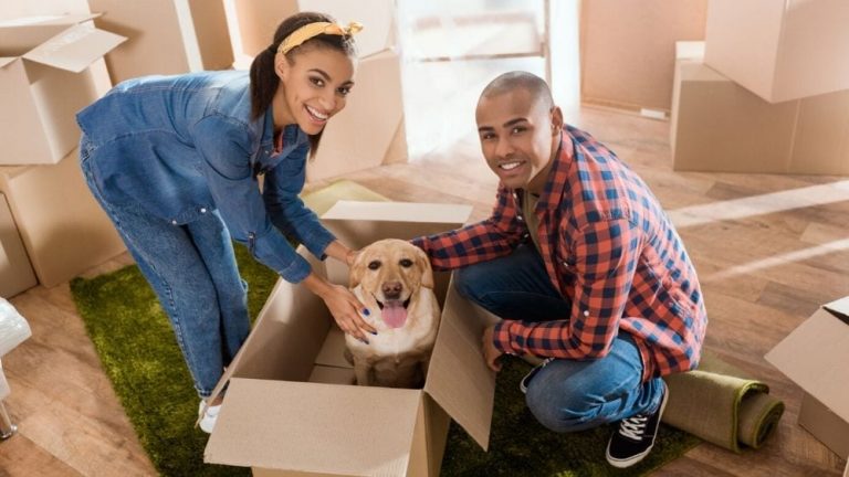 5 Tips for Moving into Your New Home - House Integrals