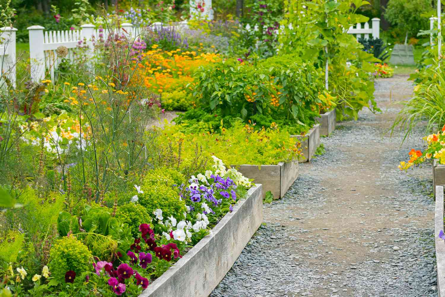 Seven Steps to a Thriving Flower Garden - House Integrals